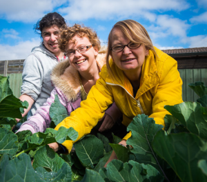 Adult and community education - Adult Learning Australia